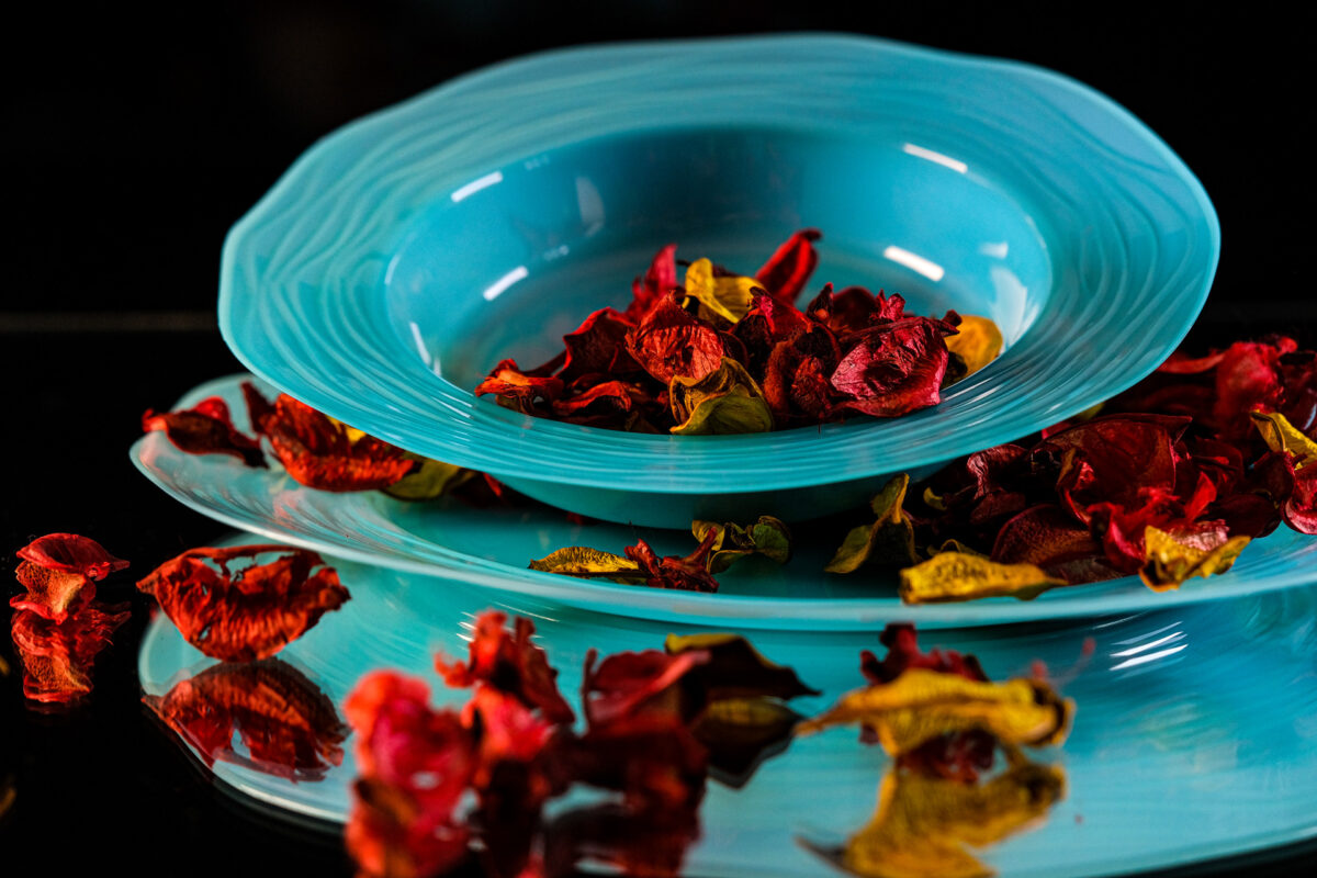 Plates - Fortis Plastik